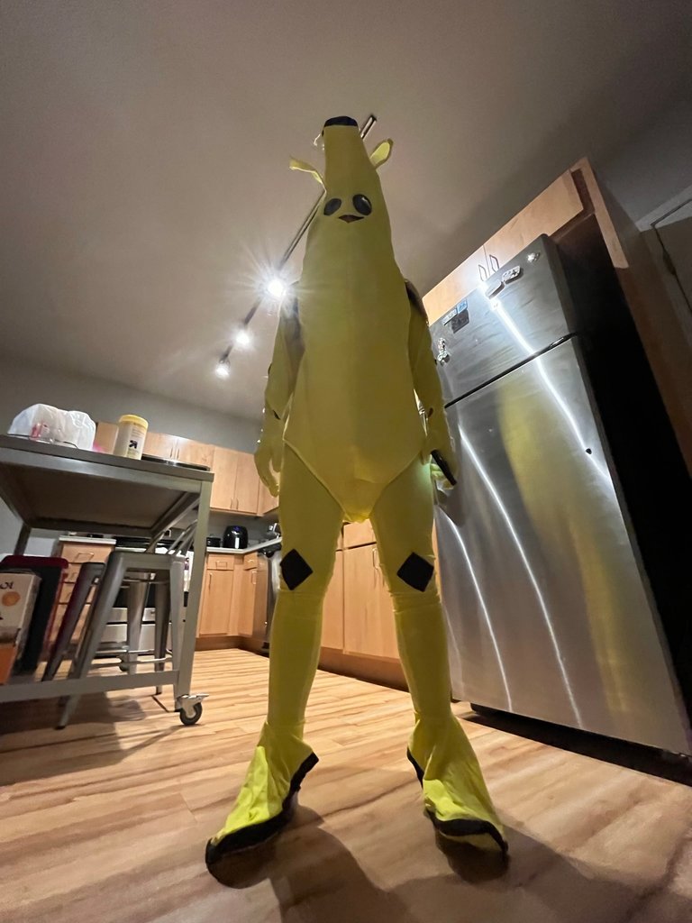 Footage | globogympurplecobras.net